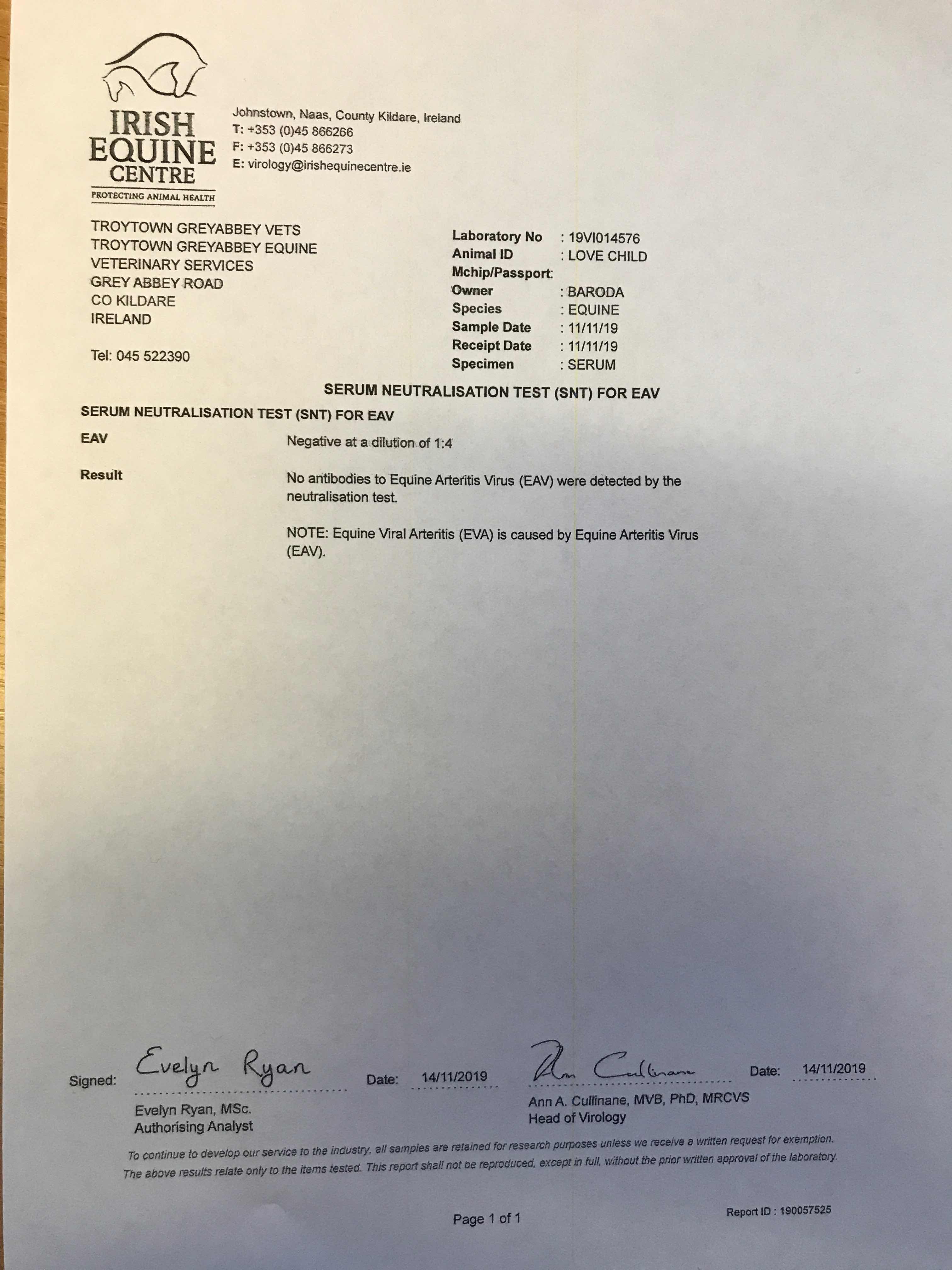 EVA High Risk Certificate