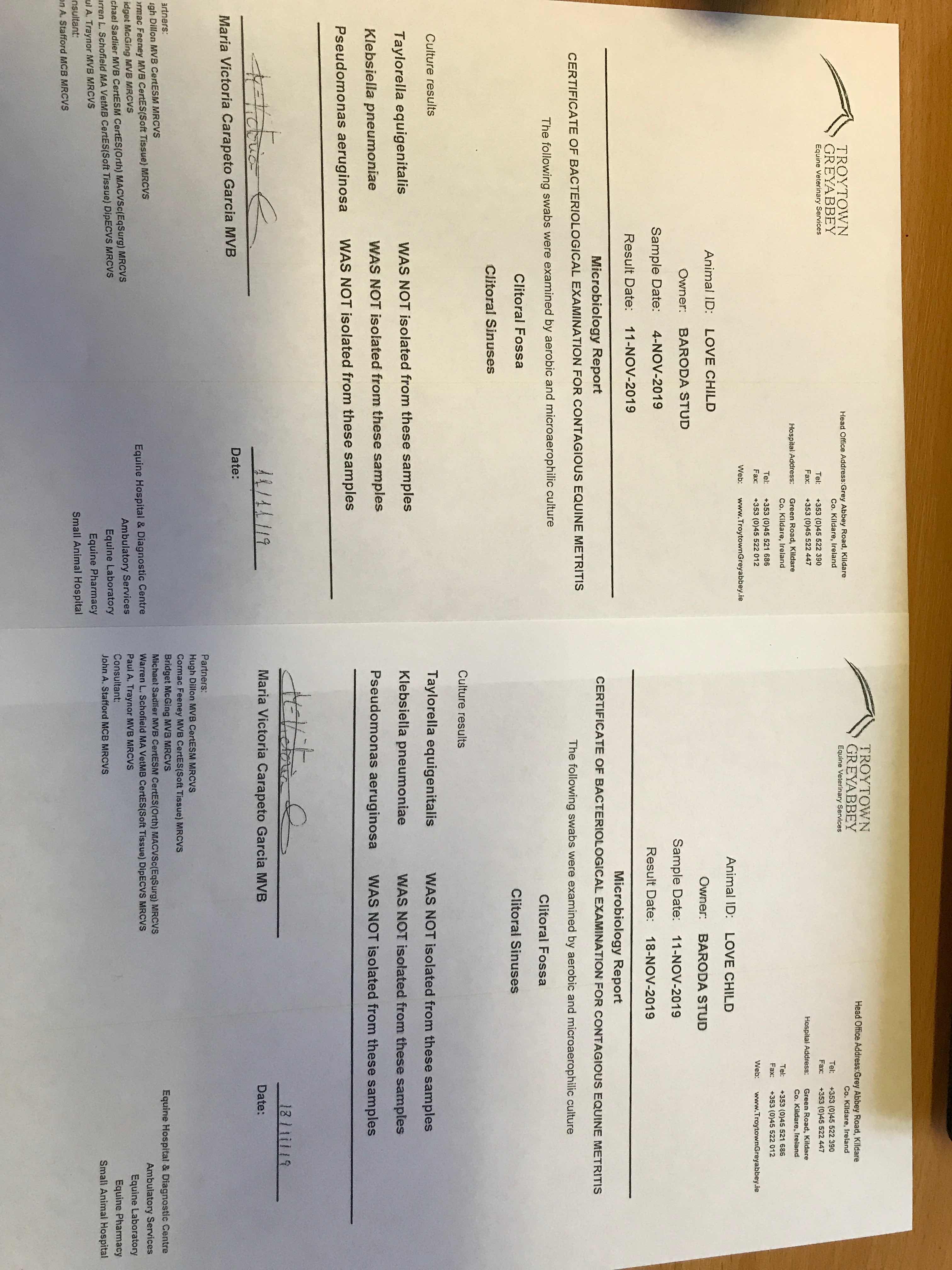 CEM High Risk Certificate