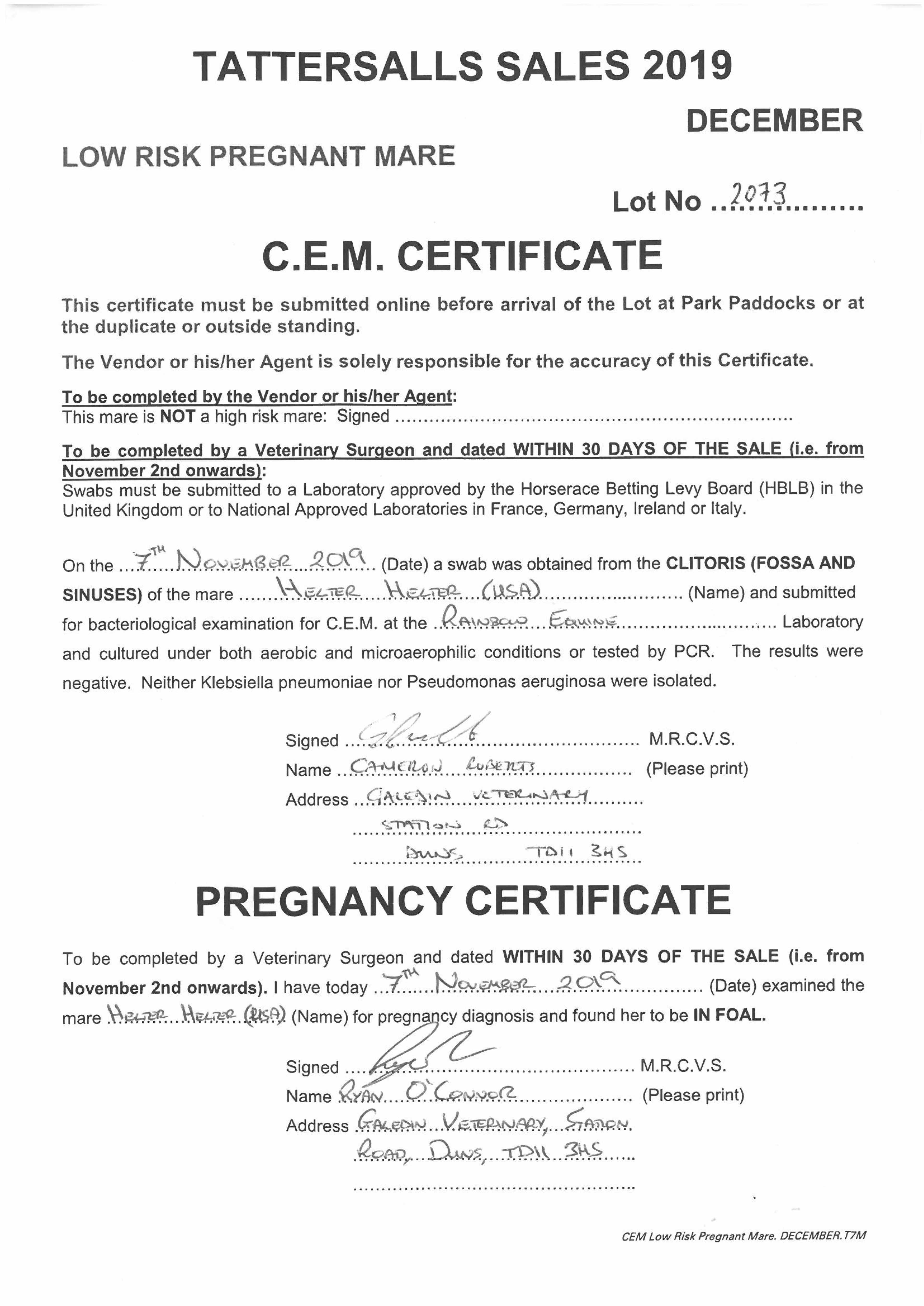 Pregnancy Certificate