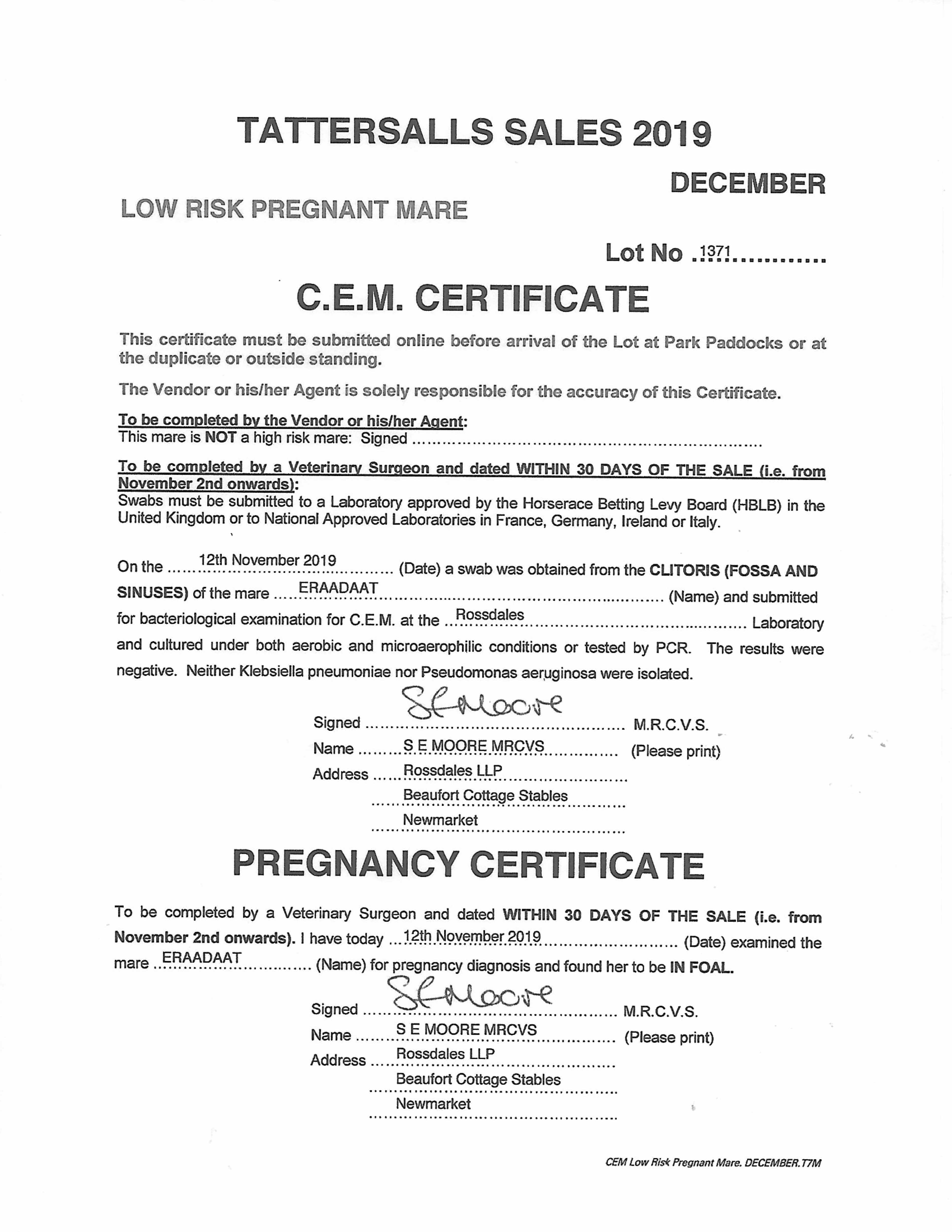 Pregnancy Certificate