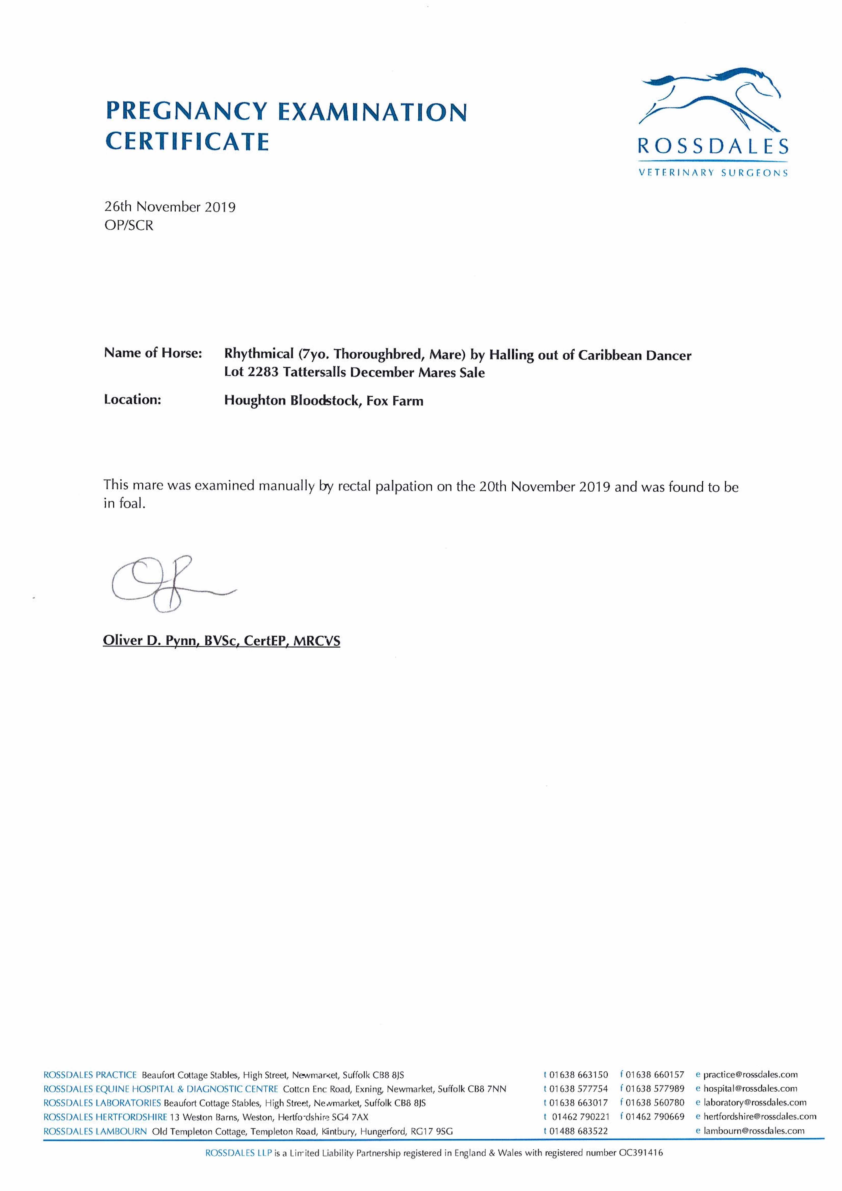 Pregnancy Certificate