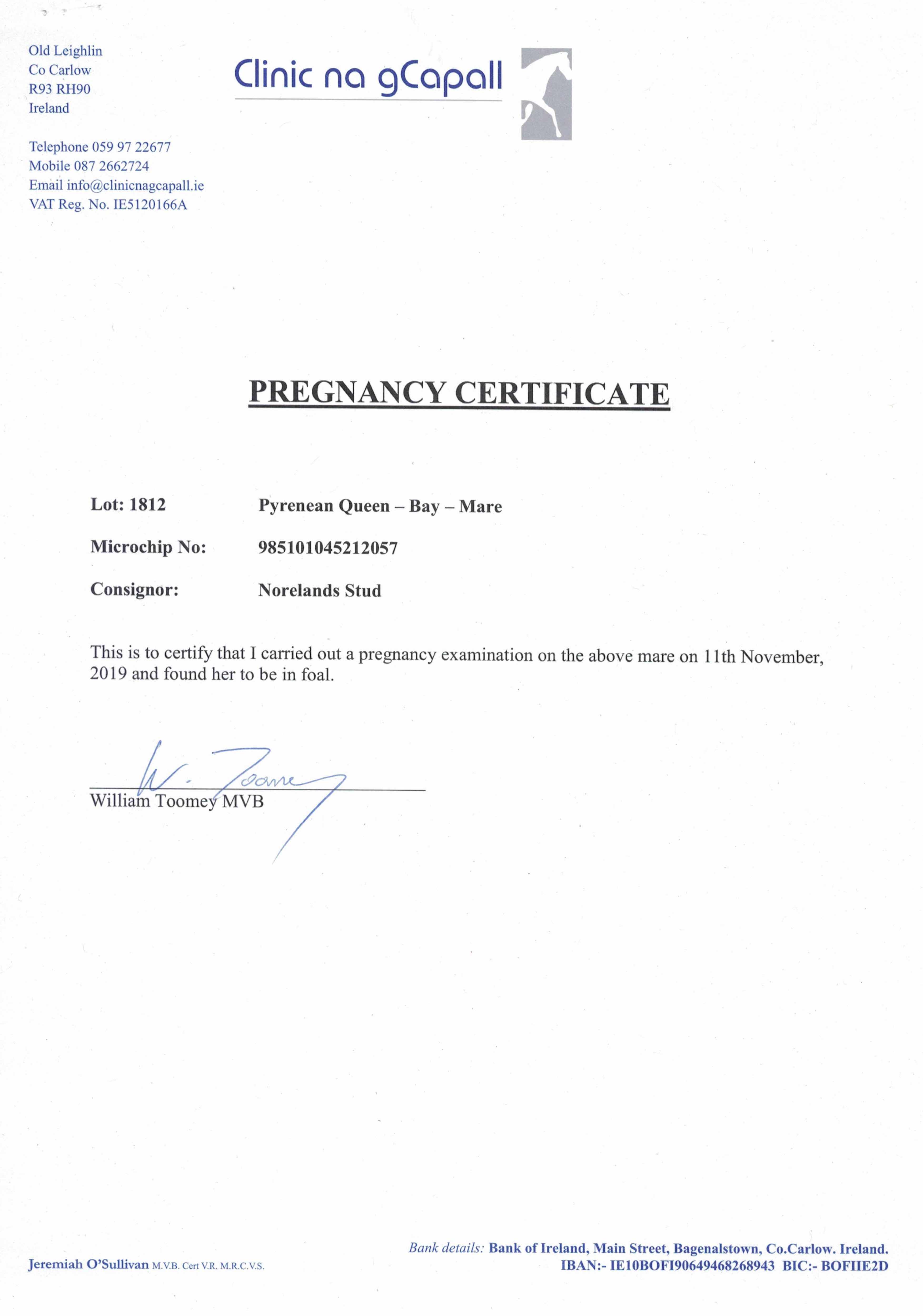 Pregnancy Certificate